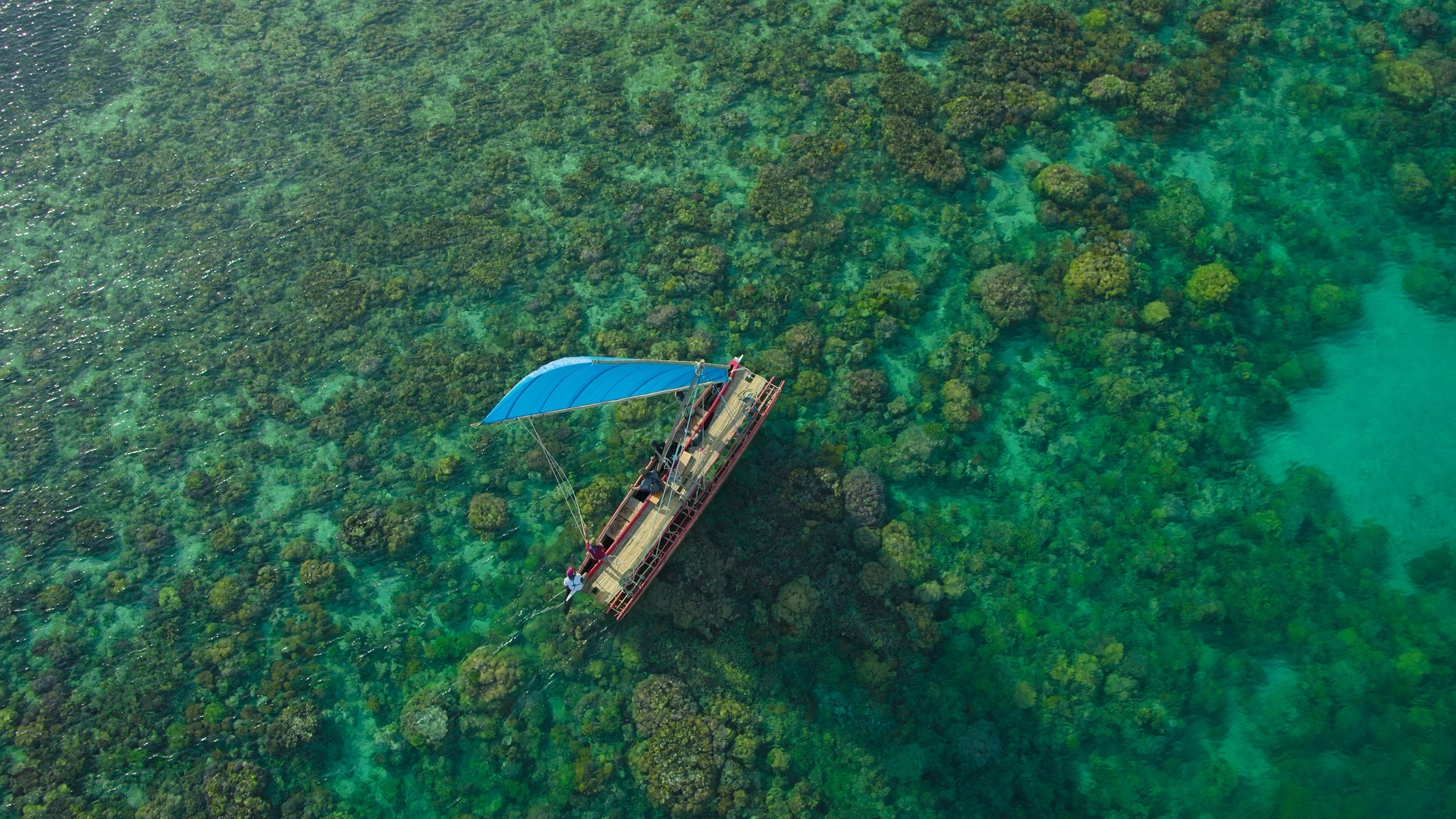 Photo of the day - National Geographic Channel - Canada