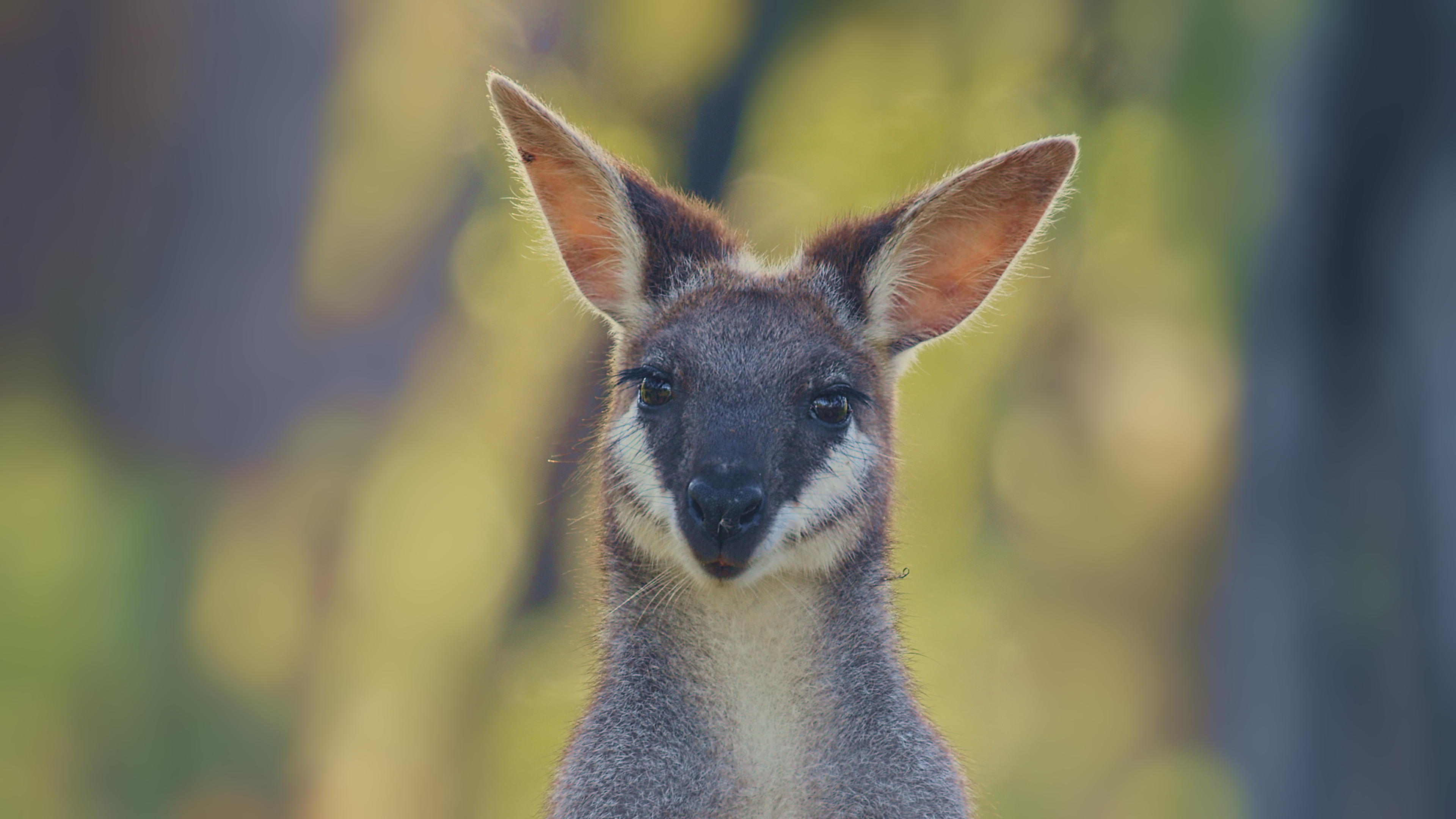 Photo of the day - National Geographic Channel - Canada