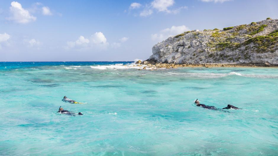 Secrets of the Octopus - National Geographic Channel Abu Dhabi Photos ...