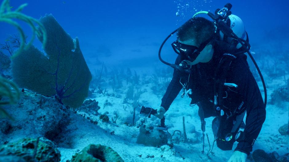 Secrets of the Octopus - National Geographic Channel Abu Dhabi Photos ...